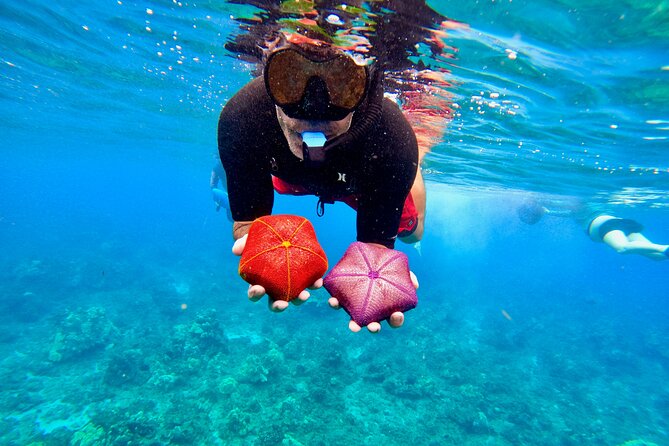 Snorkeling for Non-Swimmers Guided Tour - Wailea Beach - FAQ
