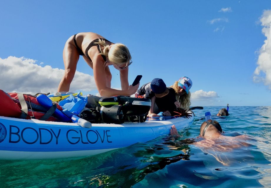 Snorkeling for Non-Swimmers Guided Tour - Wailea Beach - The Allure of the Snorkeling Experience at Wailea Beach