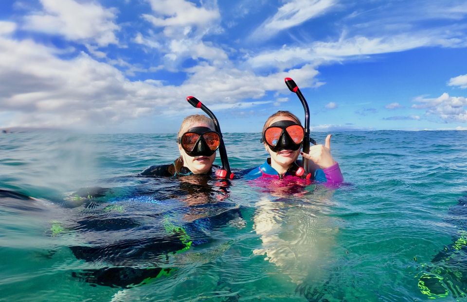 Snorkeling for Non-Swimmers Guided Tour - Wailea Beach - What’s Included and What’s Not