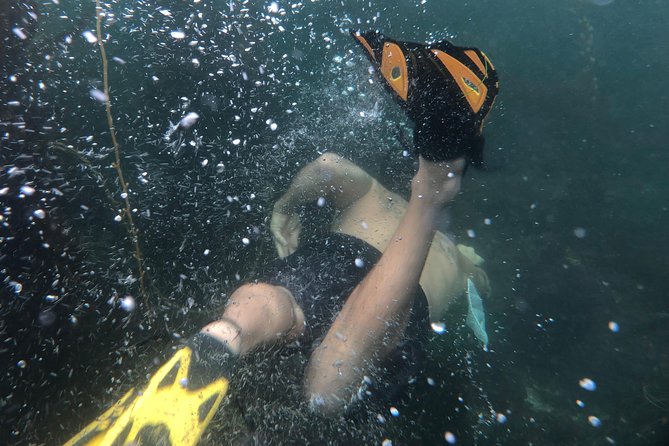Snorkeling Los Angeles - What Makes This Snorkeling Tour Stand Out?