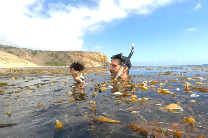 Snorkeling Los Angeles - Practical Details: What You Need to Know