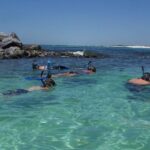Snorkeling, Shelling & Eco Excursion - Practical Details: What You Should Know