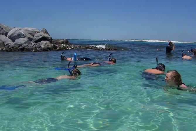 Snorkeling, Shelling & Eco Excursion - Practical Details: What You Should Know