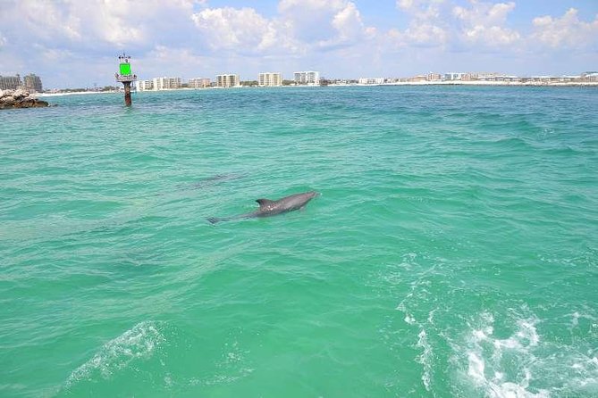 Snorkeling, Shelling & Eco Excursion - Final Thoughts: Who Should Consider This Tour?