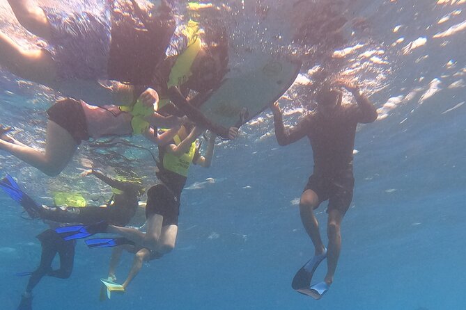 Snorkeling with Turtle/Water Scooter/Paddleboard Adventures Oahu - Analyzing the Experience: What You Can Expect