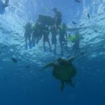 Snorkeling with Turtle/Water Scooter/Paddleboard Adventures Oahu - Price and Value Analysis