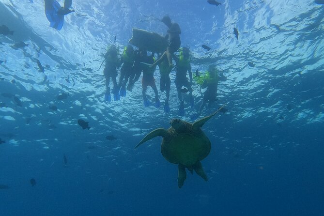 Snorkeling with Turtle/Water Scooter/Paddleboard Adventures Oahu - Price and Value Analysis