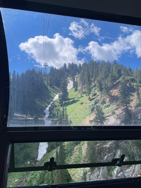 Snowbird Summer Excursion Day Tour - What To Expect and Why It Matters