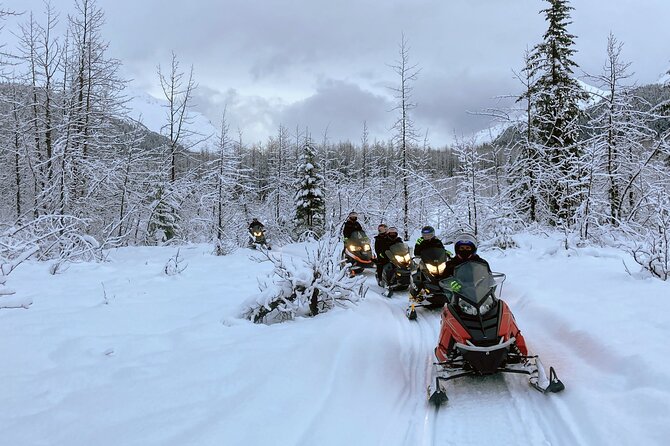 Snowmobile and Snowshoe Dual Adventure in Kenai Fjords NP - Who Is This Tour Best For?