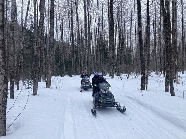 Snowmobile Classic Tour in Kenai Fjords National Park - Key Points