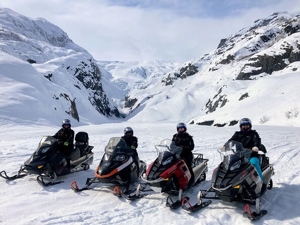 Snowmobile Classic Tour in Kenai Fjords National Park - Who will love this tour?