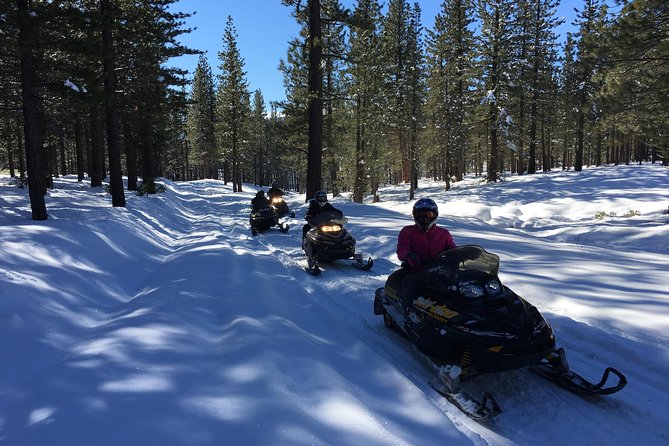 Snowmobiling Packages in the Sierra's from Reno, Nevada - Who Should Consider This Tour?