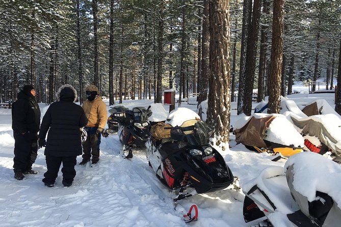 Snowmobiling Packages in the Sierra's from Reno, Nevada - The Sum Up
