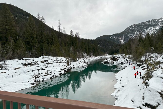 Snowshoe Day Tour In Glacier National Park - Key Points