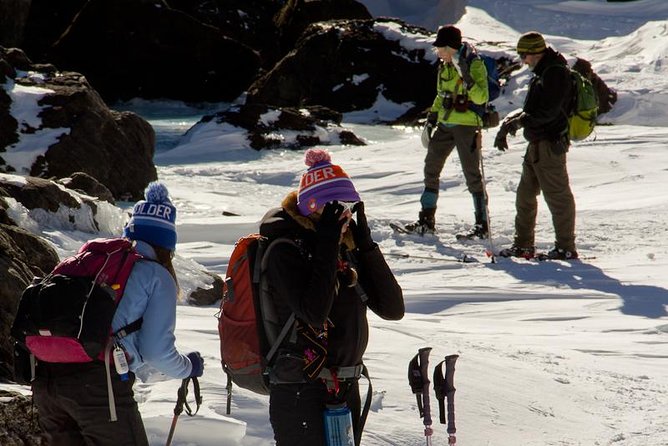 Snowshoe Mountain Adventure - Authentic Insights from Past Participants