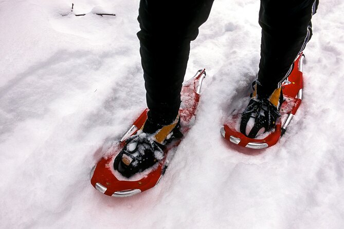 Snowshoe OR Cross Country Ski Tours in Glacier National Park - The Sum Up