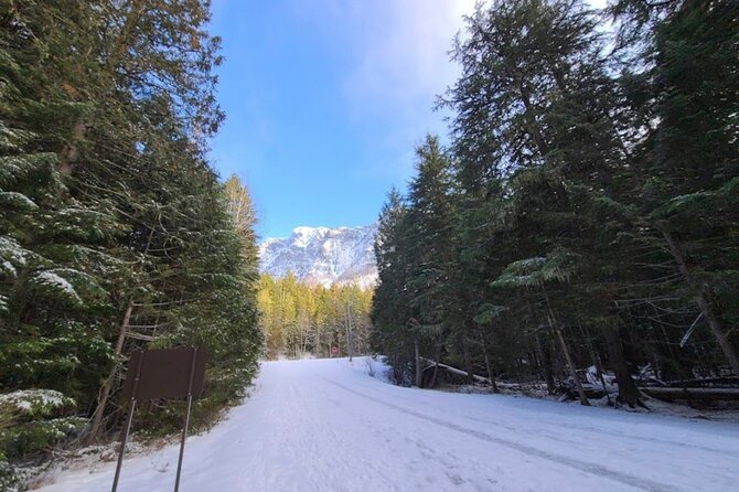 Snowshoe OR Cross Country Ski Tours in Glacier National Park - FAQ