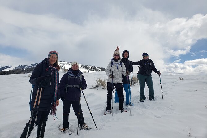 Snowshoe or XC Ski in North Yellowstone (Half Day) - Practical Tips for Your Yellowstone Snow Adventure