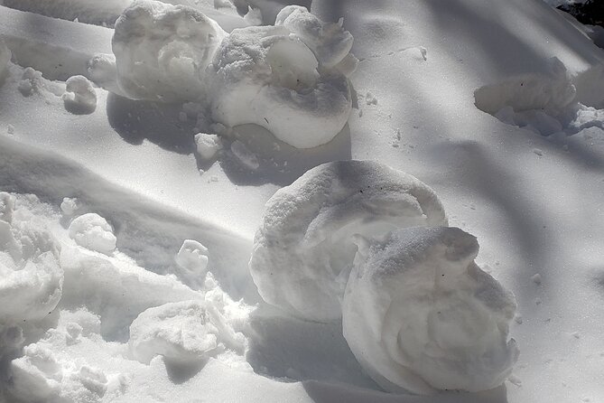 Snowshoe or XC Ski in North Yellowstone (Half Day) - Final Thoughts