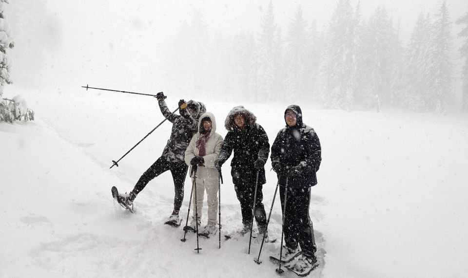 Snowshoe Rentals and Self Guided tour on Private Trails - Introduction