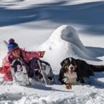 Snowshoe Rentals and Self Guided tour on Private Trails - A Detailed Look at the Self-Guided Snowshoe Experience