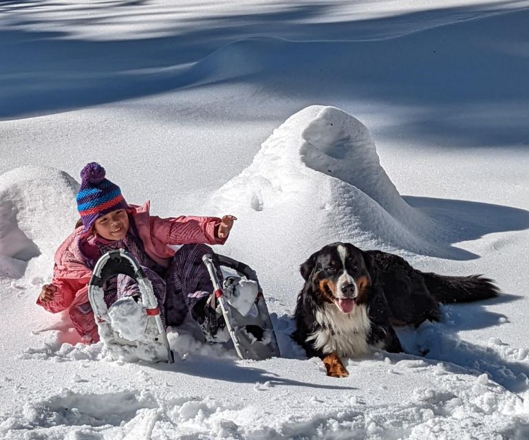 Snowshoe Rentals and Self Guided tour on Private Trails - A Detailed Look at the Self-Guided Snowshoe Experience