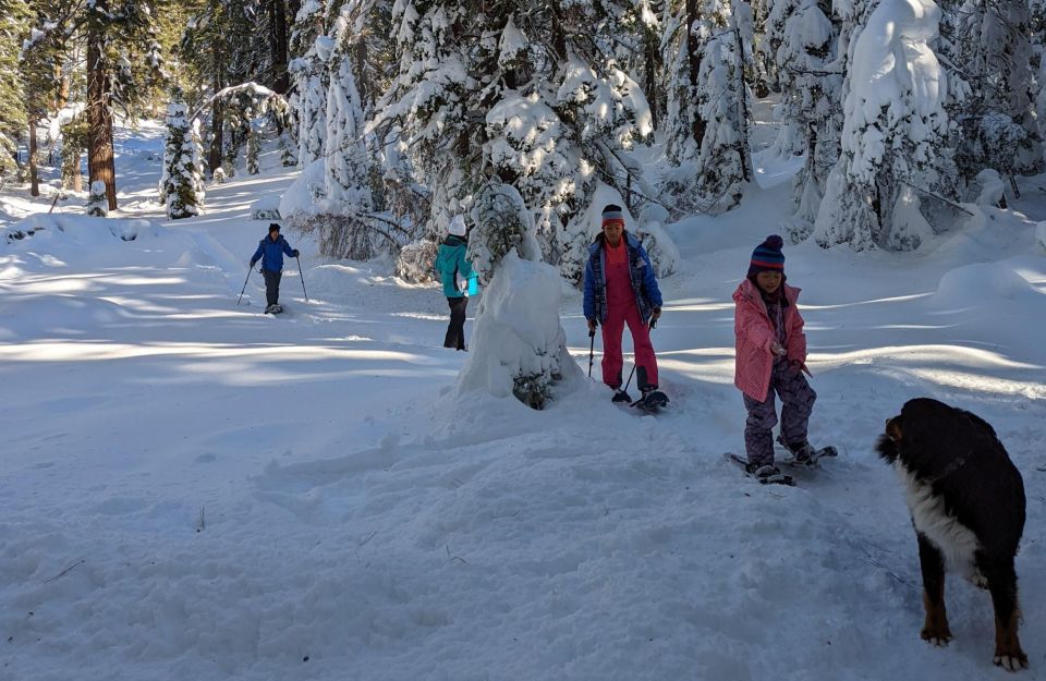 Snowshoe Rentals and Self Guided tour on Private Trails - Who Will Love This Experience?