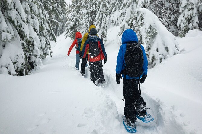Snowshoe Rentals in South Lake Tahoe - What to Expect During Your Snowshoe Rental