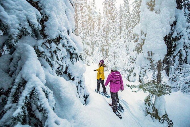 Snowshoe Rentals in South Lake Tahoe - Practical Tips for Your Snowshoe Adventure