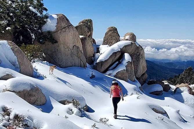 Snowshoe Tour Big Bear Lake with Hot Chocolate - Key Points