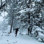 Snowshoe Tour Big Bear Lake with Hot Chocolate - What’s Included and What to Expect