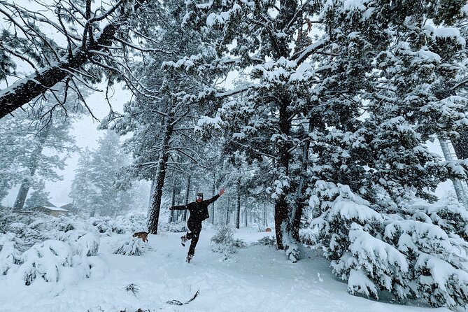Snowshoe Tour Big Bear Lake with Hot Chocolate - What’s Included and What to Expect