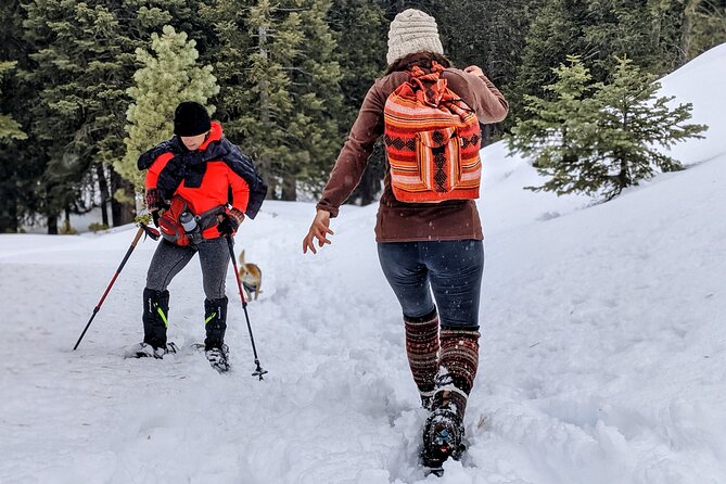 Snowshoe Tour Big Bear Lake with Hot Chocolate - Authentic Tips from Reviewers