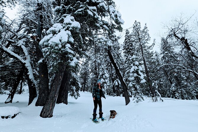 Snowshoe Tour Big Bear Lake with Hot Chocolate - Who Will Love This Tour?