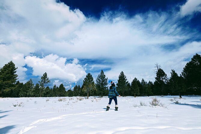 Snowshoe Tour Big Bear Lake with Hot Chocolate - Practical Details and Considerations