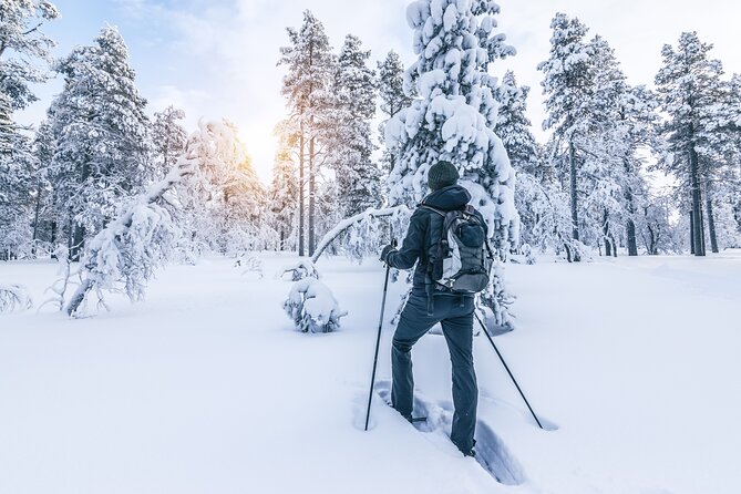 Snowshoe Tour in the Lake Tahoe Mountains - An Overview of the Lake Tahoe Snowshoe Tour