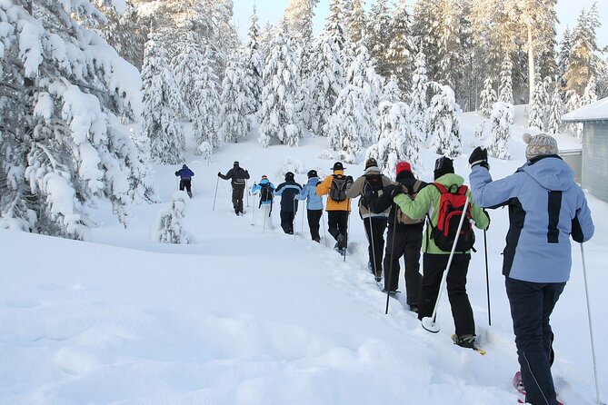 Snowshoe Tour in the Lake Tahoe Mountains - Gear and Inclusions: What’s Covered