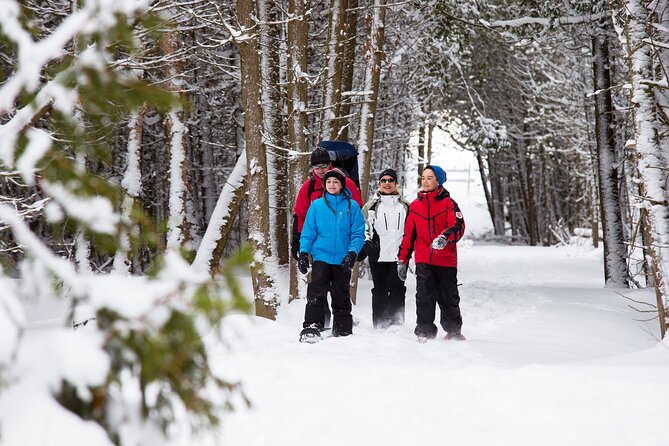 Snowshoe Tour in the Lake Tahoe Mountains - Value and Pricing Analysis