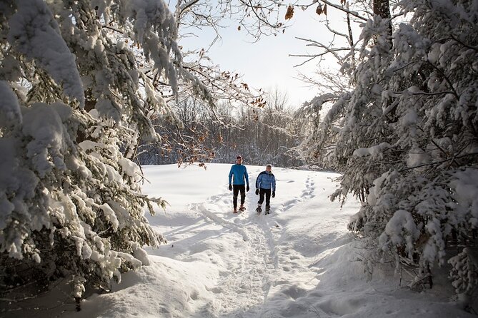 Snowshoe Tour in the Lake Tahoe Mountains - Cancellation and Booking Flexibility