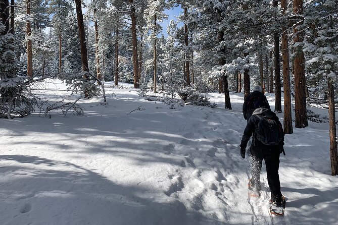 Snowshoeing Adventure in the Rocky Mountains Close to Denver - Practical Tips for a Great Snowshoeing Experience