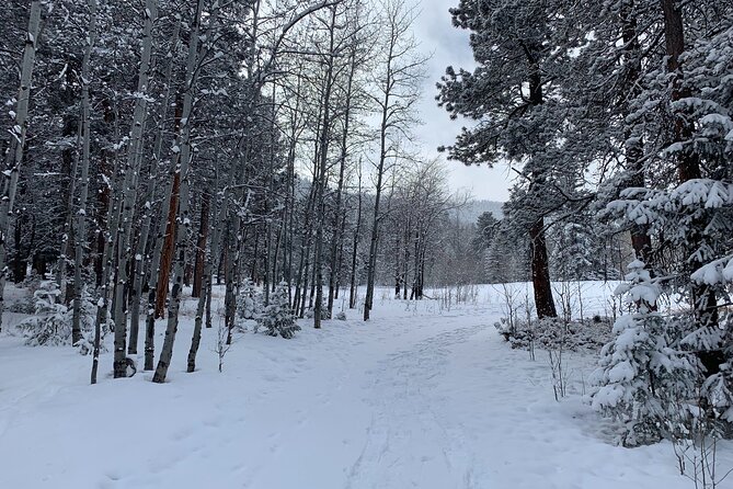 Snowshoeing Adventure in the Rocky Mountains Close to Denver - The Sum Up