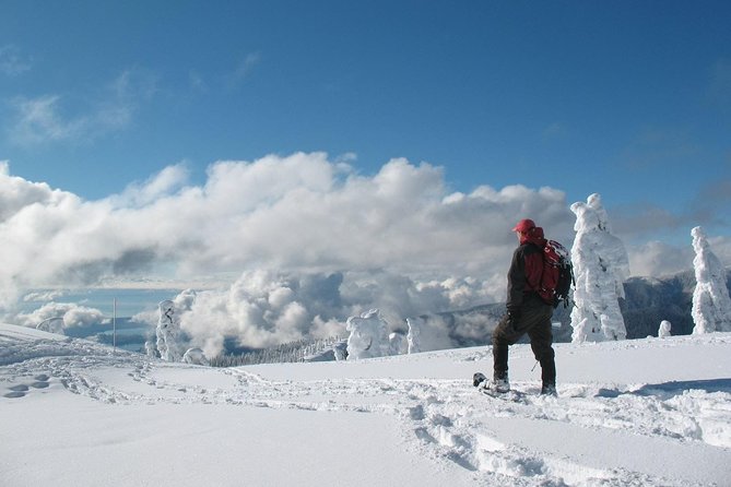Snowshoeing at Crystal Mountain by Mount Rainier - What to Expect from Snowshoeing at Crystal Mountain