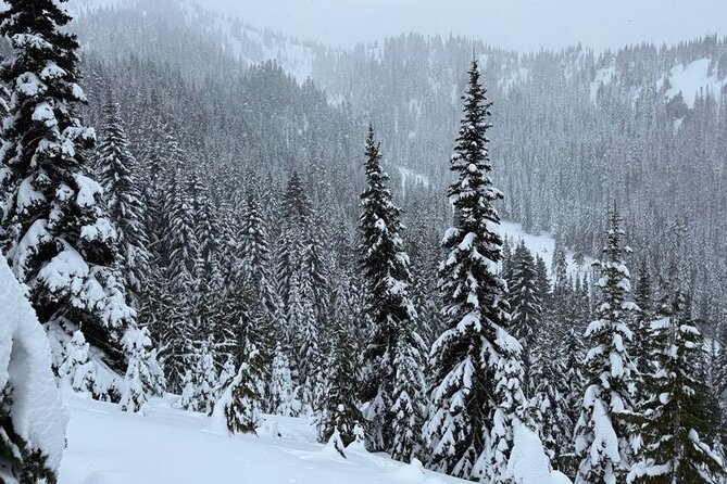 Snowshoeing at Crystal Mountain by Mount Rainier - Practical Details and Value