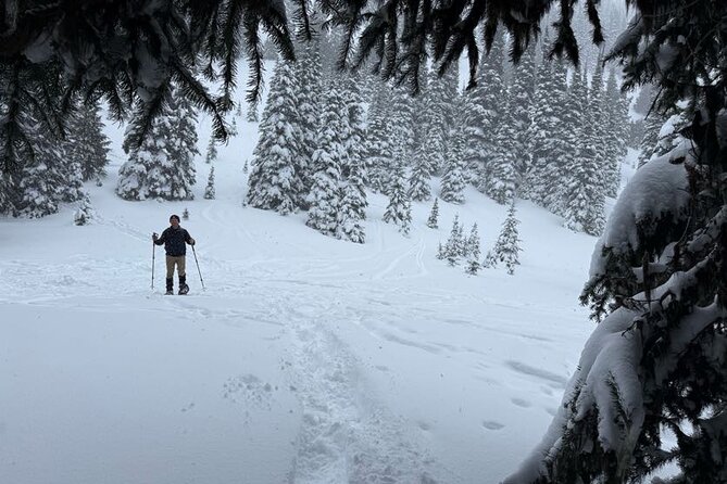 Snowshoeing at Crystal Mountain by Mount Rainier - Who Will Love This Tour?
