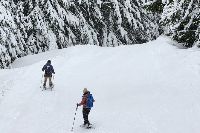 Snowshoeing at Crystal Mountain by Mount Rainier - FAQs