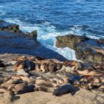 SoCal Riviera Electric Bike Tour of La Jolla & Mount Soledad - A Closer Look at the Itinerary