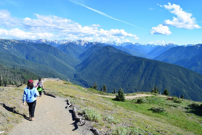 Sol Duc, Lake Crescent, and Hurricane Ridge Guided Tour in Olympic National Park - Is This Tour Worth the Price?