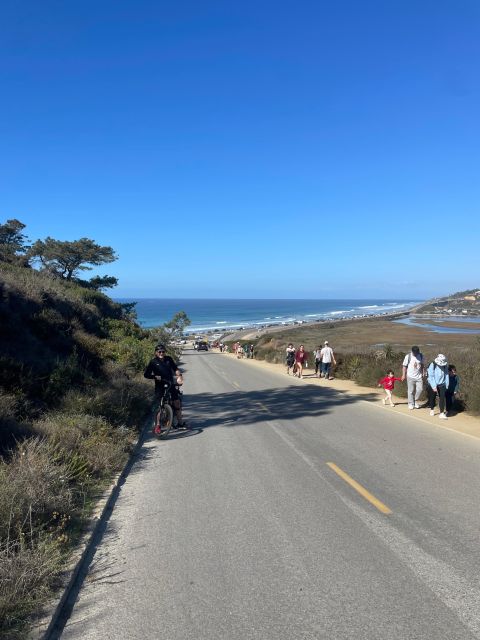 Solana Beach: E-Bike Tour to Torrey Pines or North Coast - Key Points