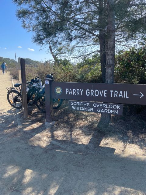 Solana Beach: E-Bike Tour to Torrey Pines or North Coast - Authentic Experiences from Past Participants