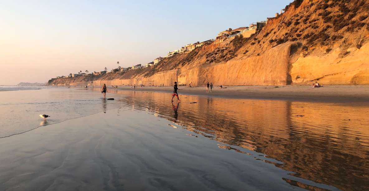 Solana Beach: Full Day Skimboard Rental - The Experience Breakdown